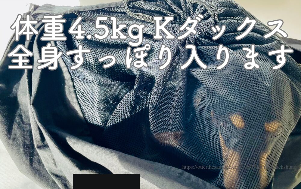 【お出かけグッズ】ダックスも入る!肩に優しくリニューアルしたsnowdropオリジナルスリング | Otter the Dachshund ...
