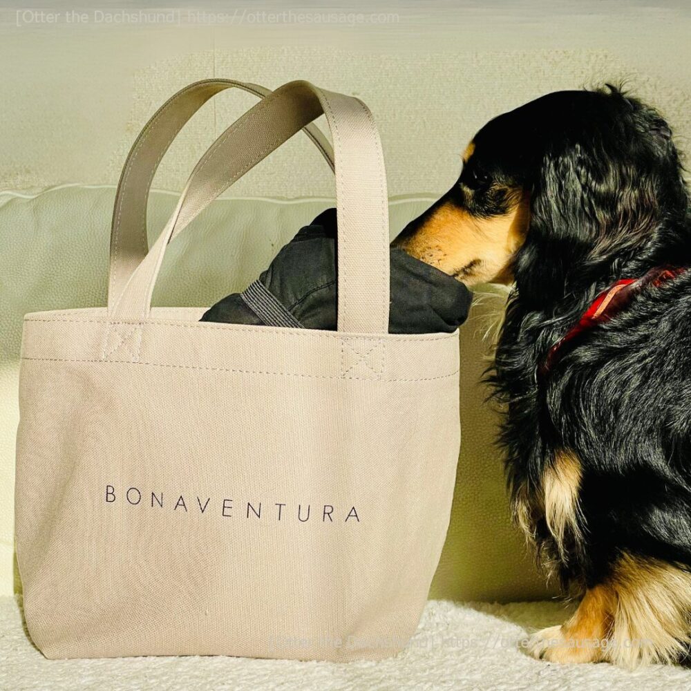 【お出かけグッズ】ダックスも入る!肩に優しくリニューアルしたsnowdropオリジナルスリング | Otter the Dachshund ...