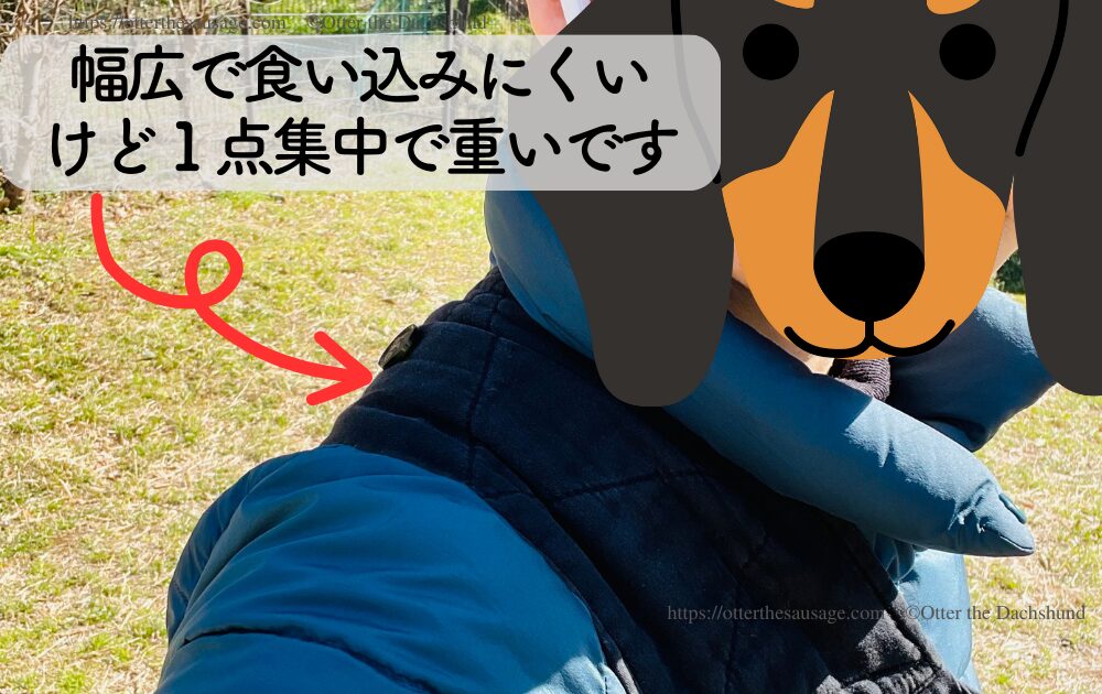 【お出かけグッズ】ダックスも入る!肩に優しくリニューアルしたsnowdropオリジナルスリング | Otter the Dachshund ...